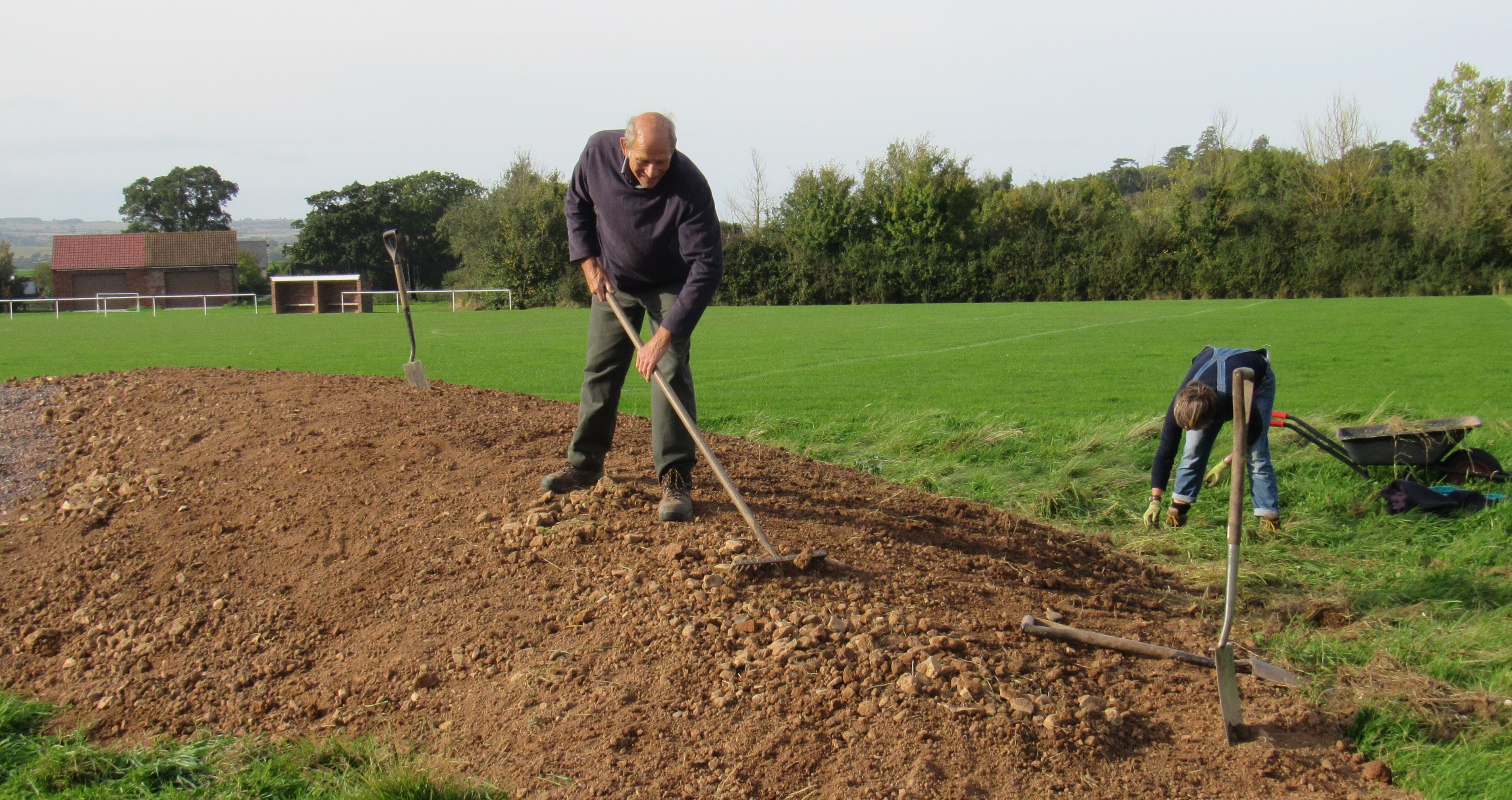 North Curry Wildlife