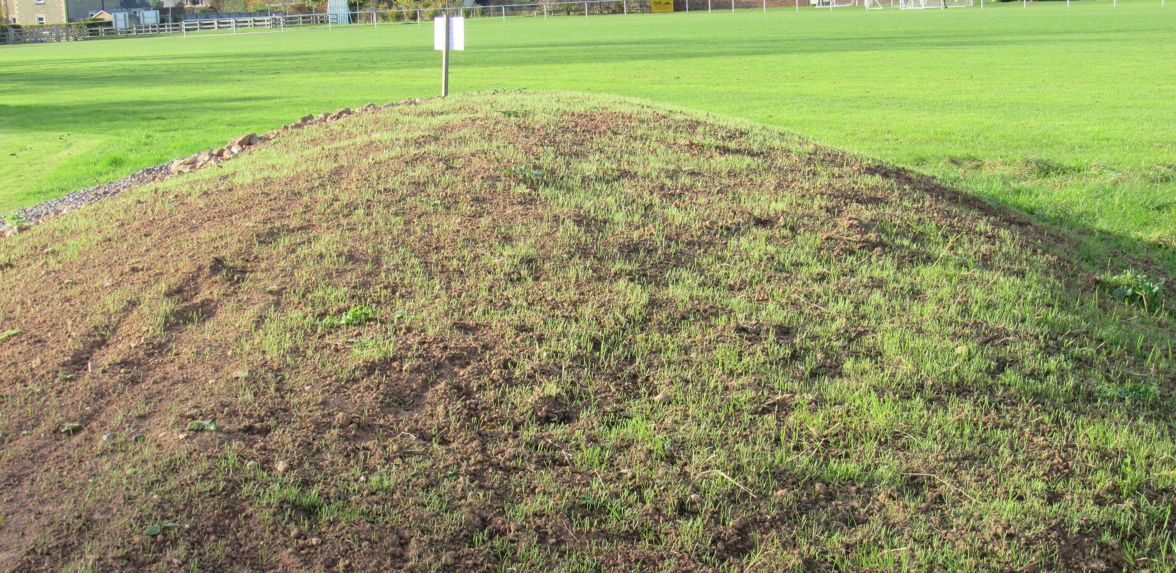 North Curry Wildlife